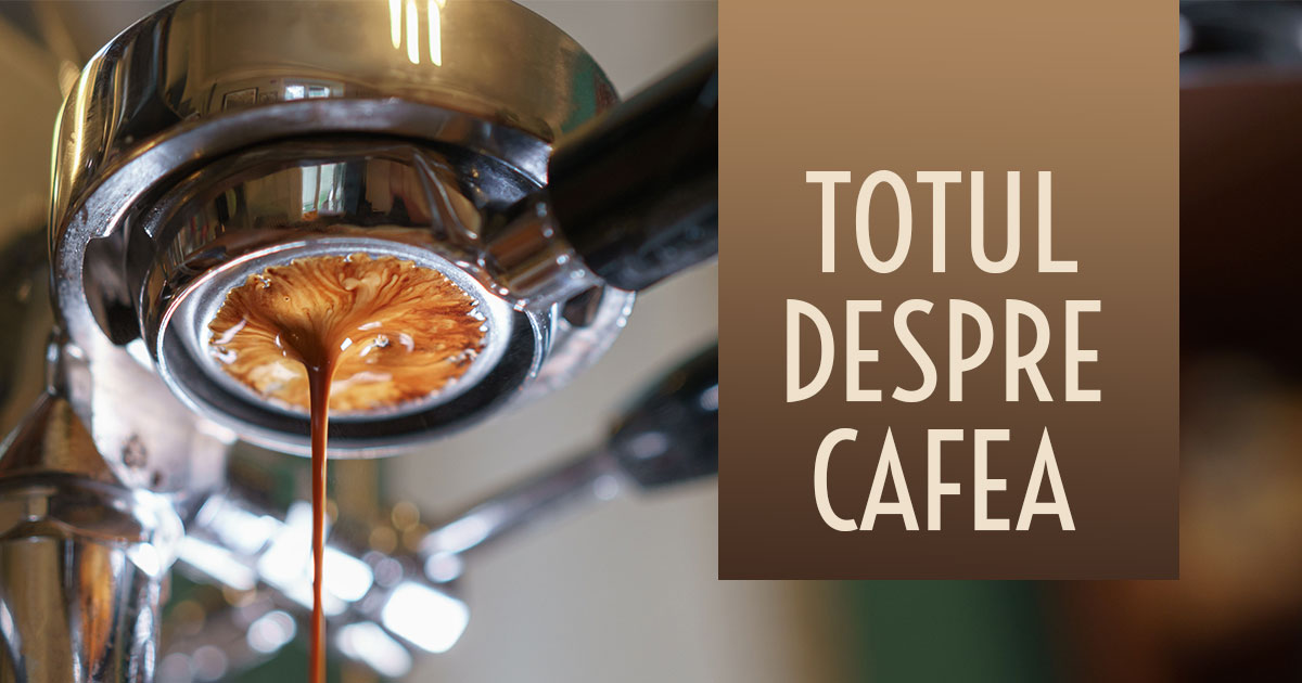 Magazin - Totul despre cafea